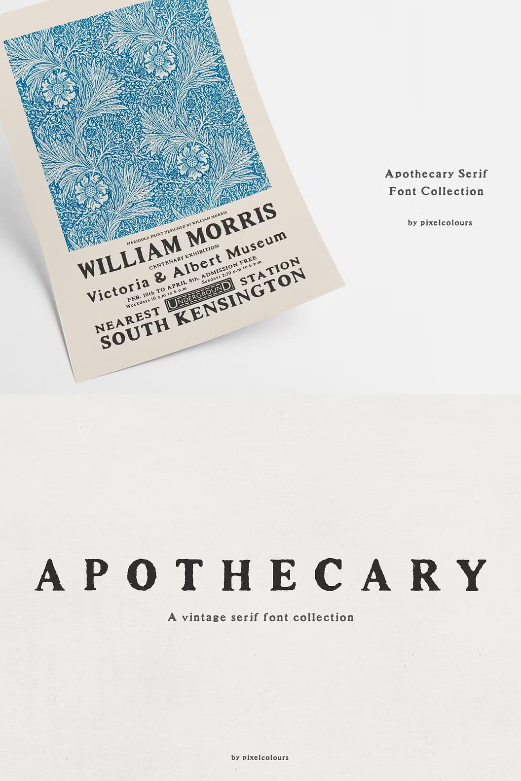 Apothecary Serif Font Collection - Best Grafik - Design Resources